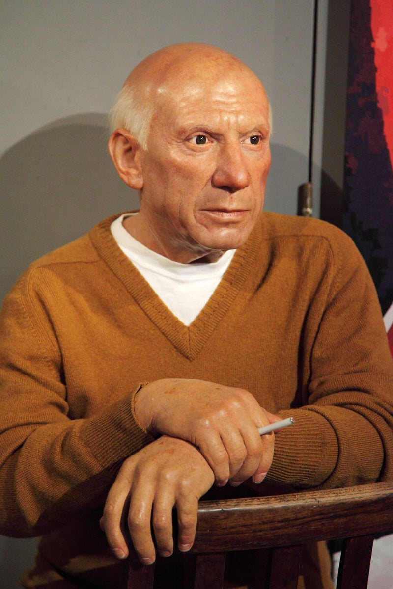 Paint like Picasso: The Master Painter